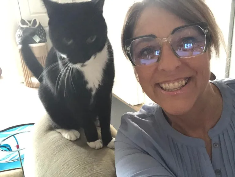 Anatomy Of A Cat Head: From Radar Ears to Expressive Tongues • Kritter ...