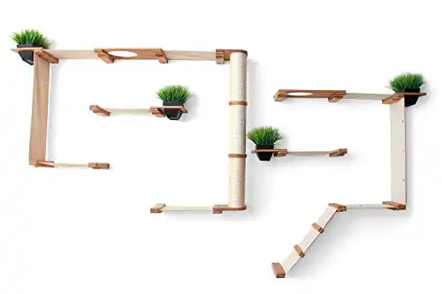 How to Catify Your Apartment: Tips for a Feline-Friendly Space ...